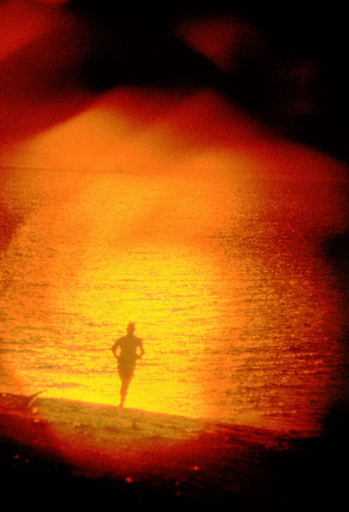 ILLUSTRATION - Terry Monahan Photography