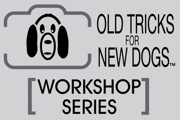 New Photo Workshops - Terry Monahan Photography