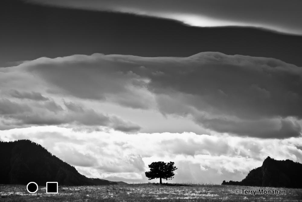 Rural B&W - Terry Monahan Photography