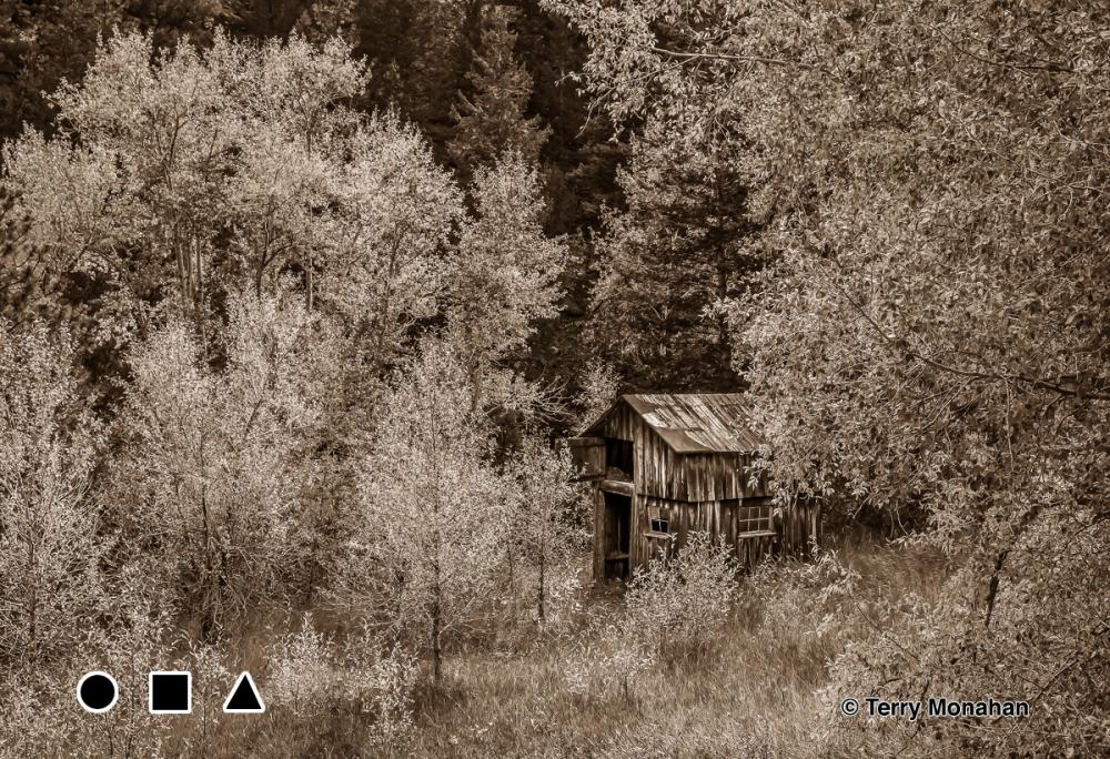 Rural B&W - Terry Monahan Photography