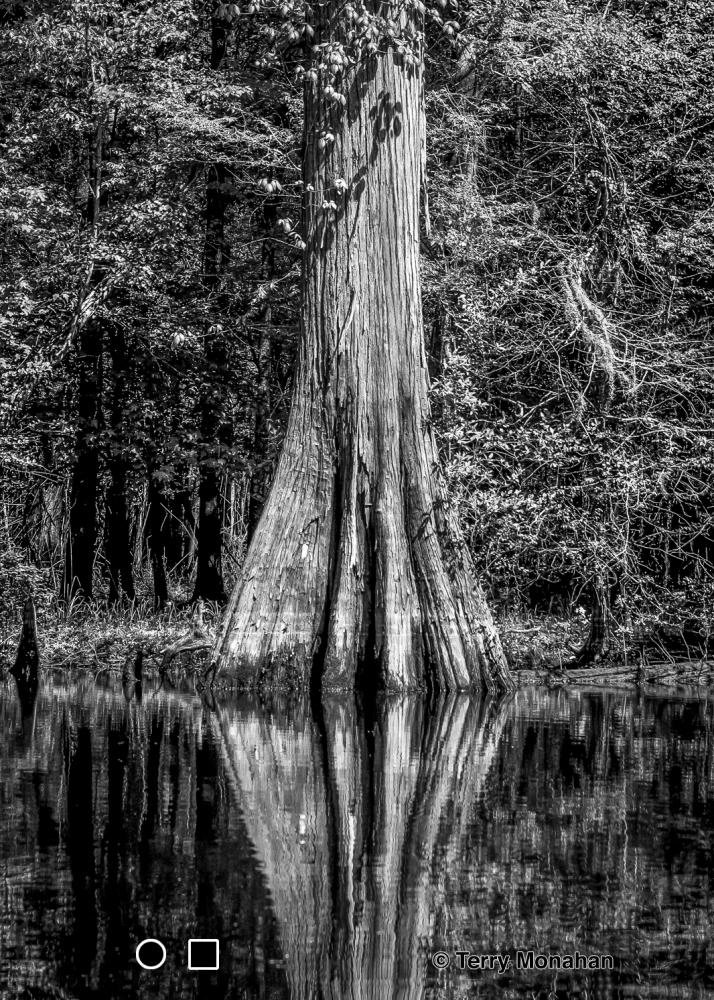 Rural B&W - Terry Monahan Photography