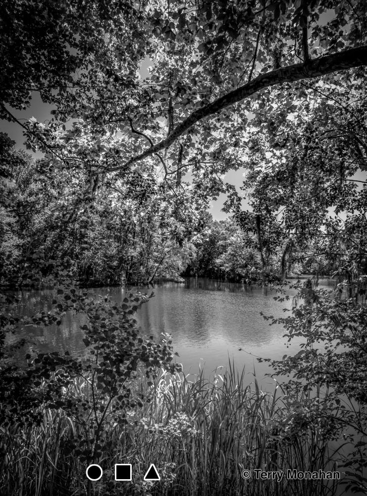 Rural B&W - Terry Monahan Photography